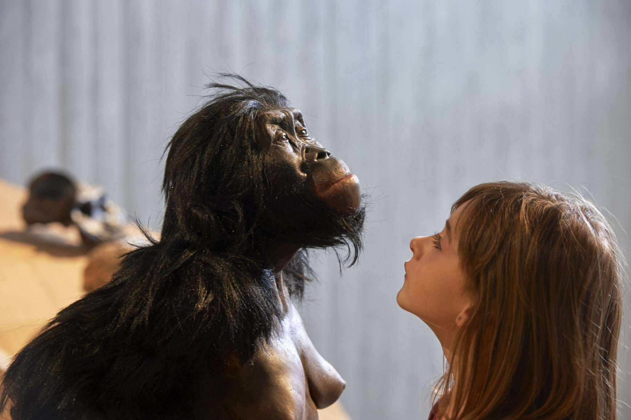 50 ans après sa découverte, Lucy est-elle vraiment notre ancêtre ...